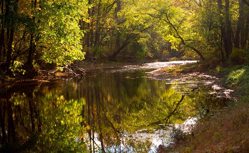 Nature Preserve Open House - Saturday, October 15, 2022 - New Britain ...